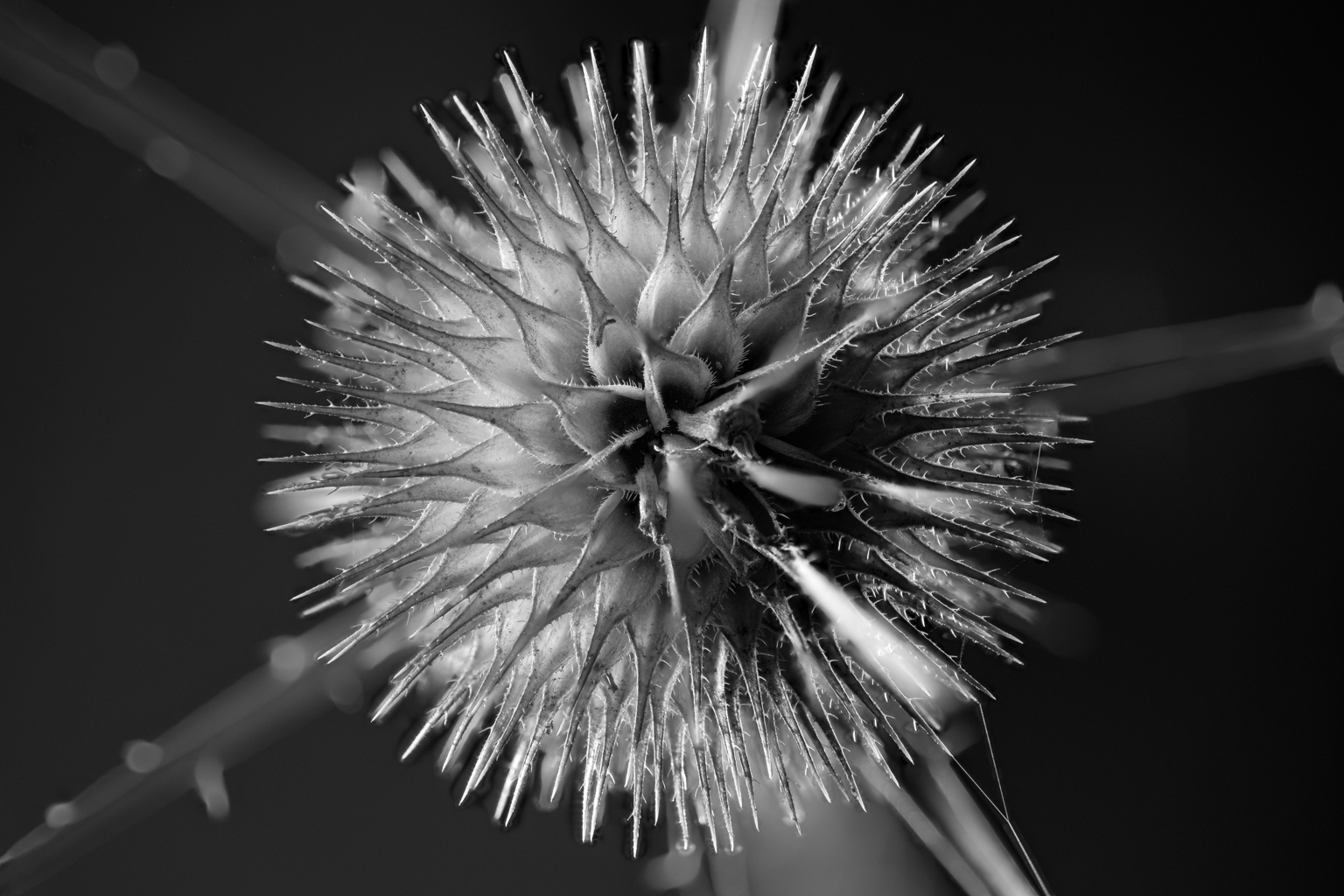 Deel de natuur
