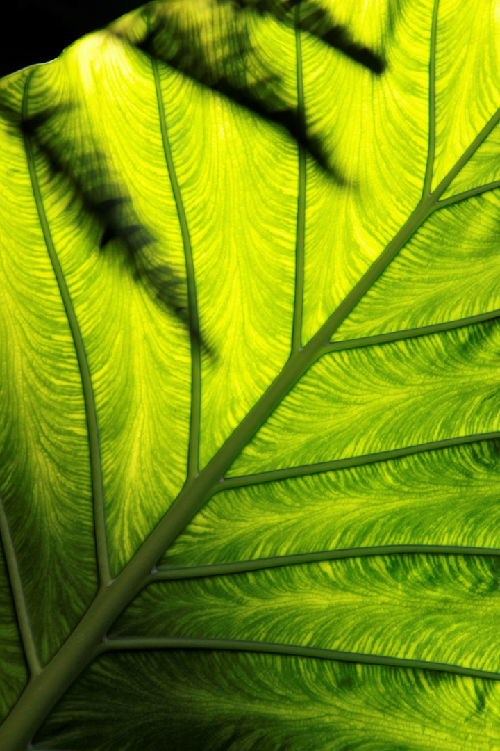 Deel de natuur