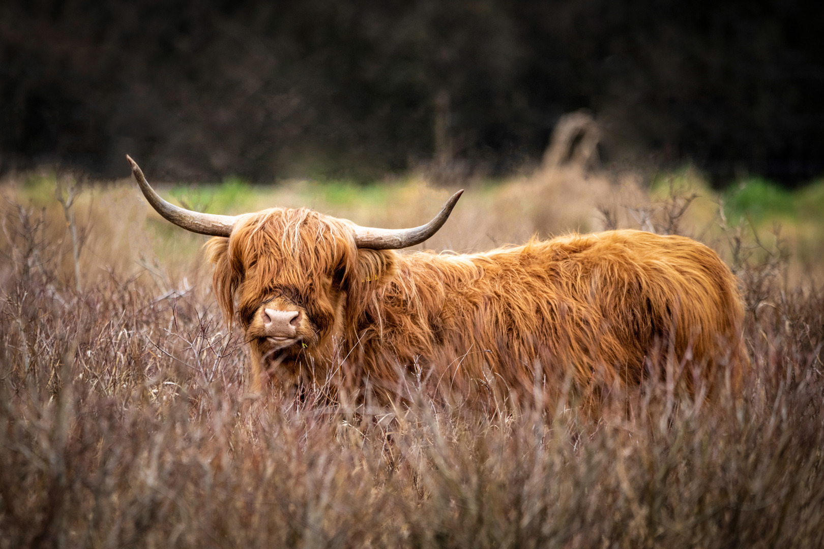 Deel De Natuur Deel De Natuur