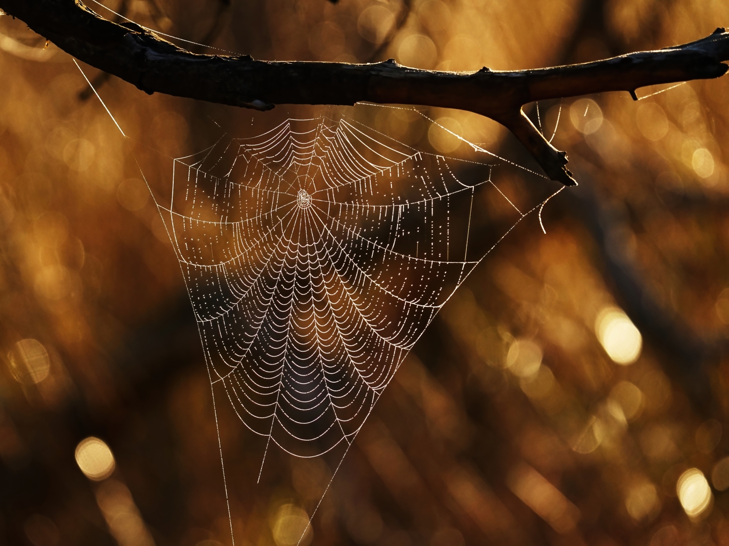 Deel de natuur
