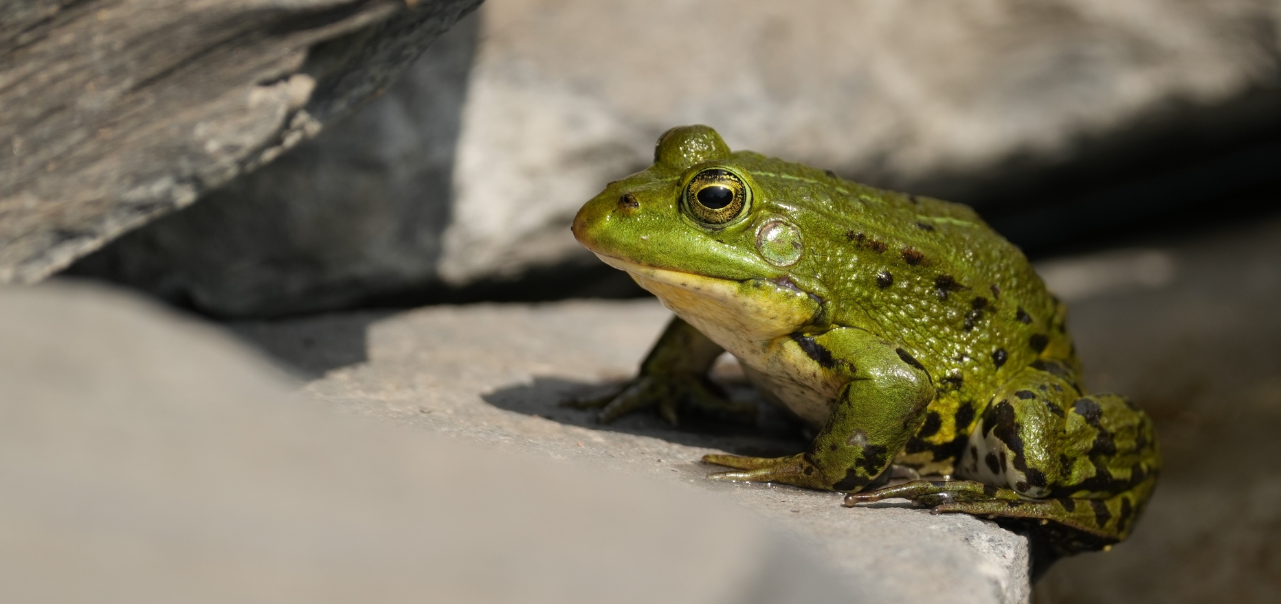 Deel De Natuur Deel De Natuur