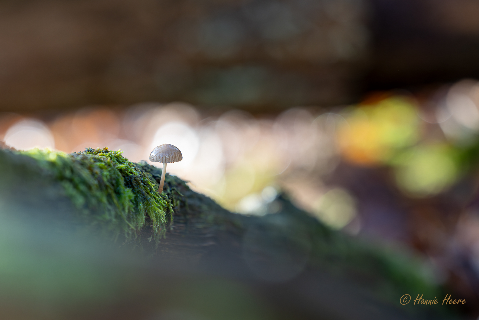 Deel de natuur