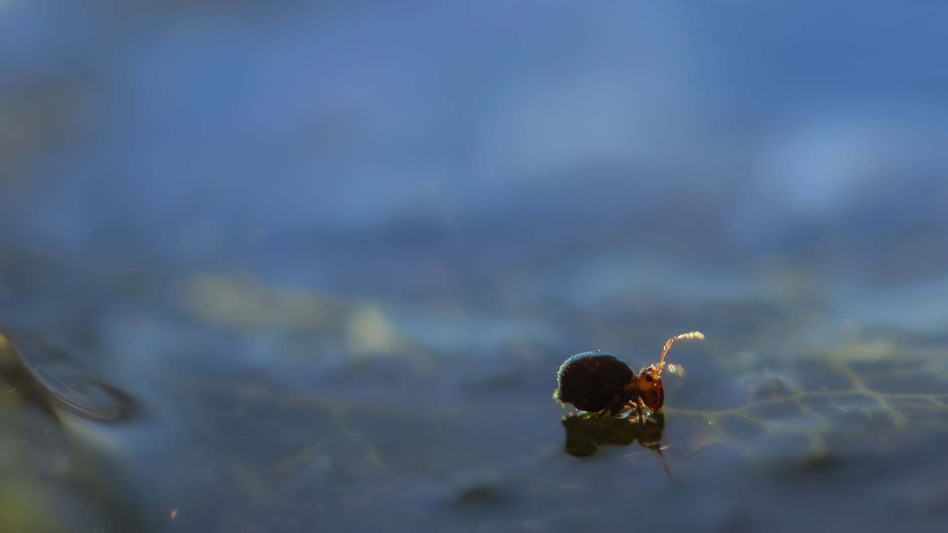 Deel de natuur